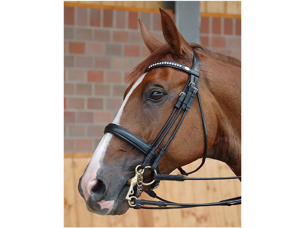 Uzdy - Equestrians.cz